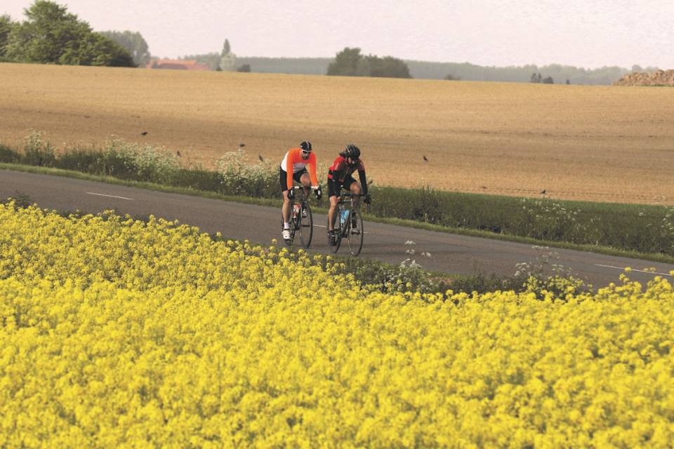 6 Cycle Magazine